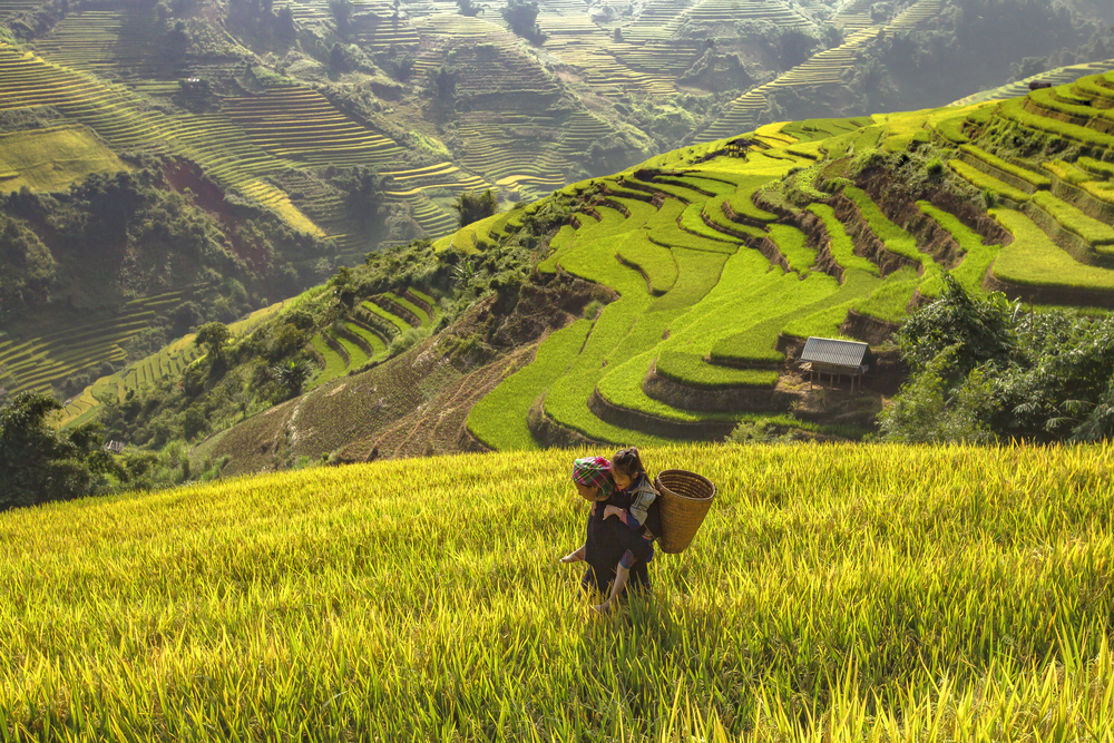 Sapa - OpenAsiaTravel